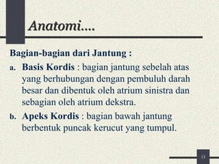 ANATOMI FISIOLOGI SISTEM CARDIOVASKULER.ppt