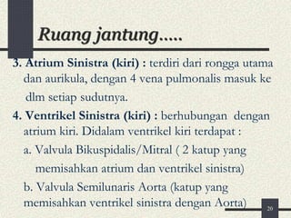 ANATOMI FISIOLOGI SISTEM CARDIOVASKULER.ppt