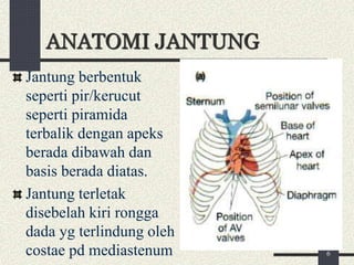 ANATOMI FISIOLOGI SISTEM CARDIOVASKULER.ppt