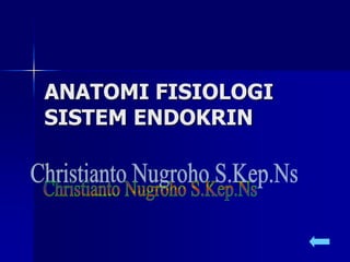Anfis endokrin | PPT