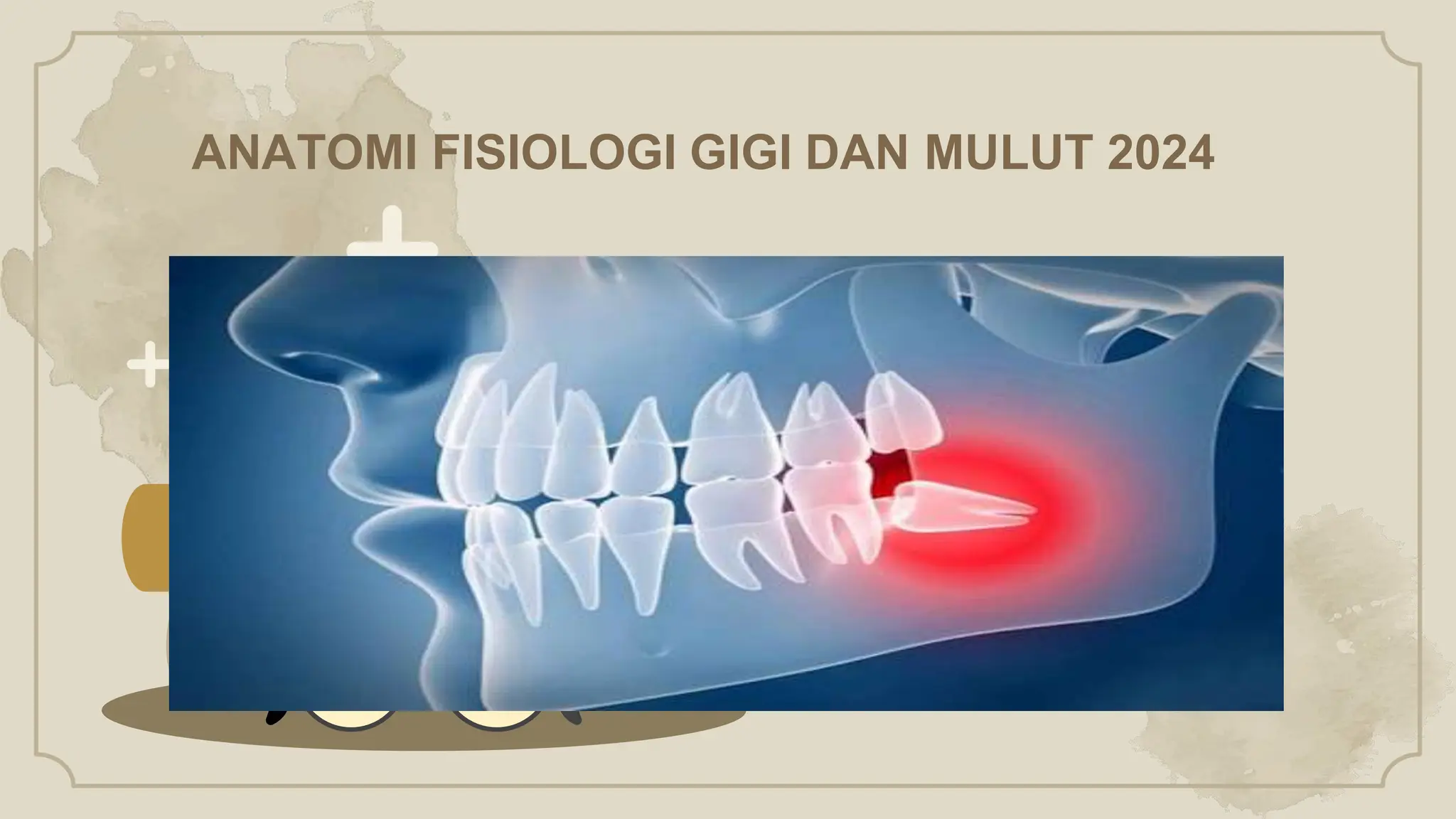 Anatomy fiosioligy gigi an asuhan paa keokteran gigi.pptx