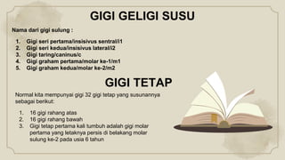 Anatomy fiosioligy gigi an asuhan paa keokteran gigi.pptx