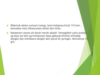 ANFIS HEMATOLOGI.ppt