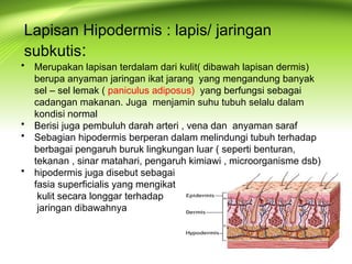 Anatomi dan fisiologi organ Indra kulit.pptx