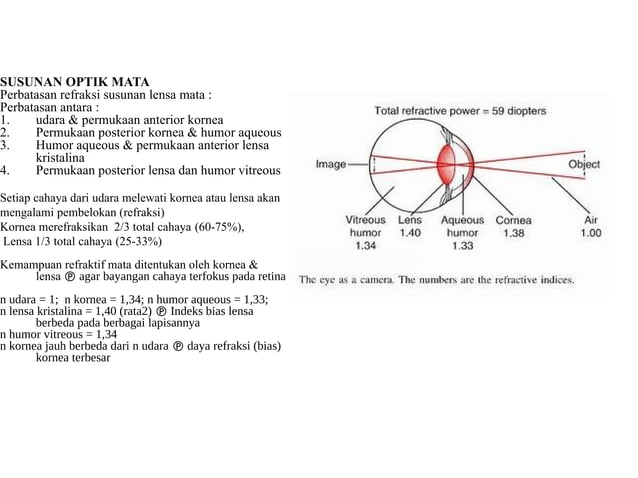 Anatomi fisiologi Indra Penglihatan Rifki.pptx