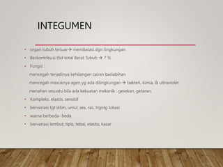 ANFIS Integument.ppt