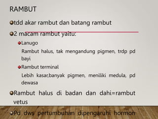 ANFIS Integument.ppt