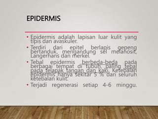 ANFIS Integument.ppt