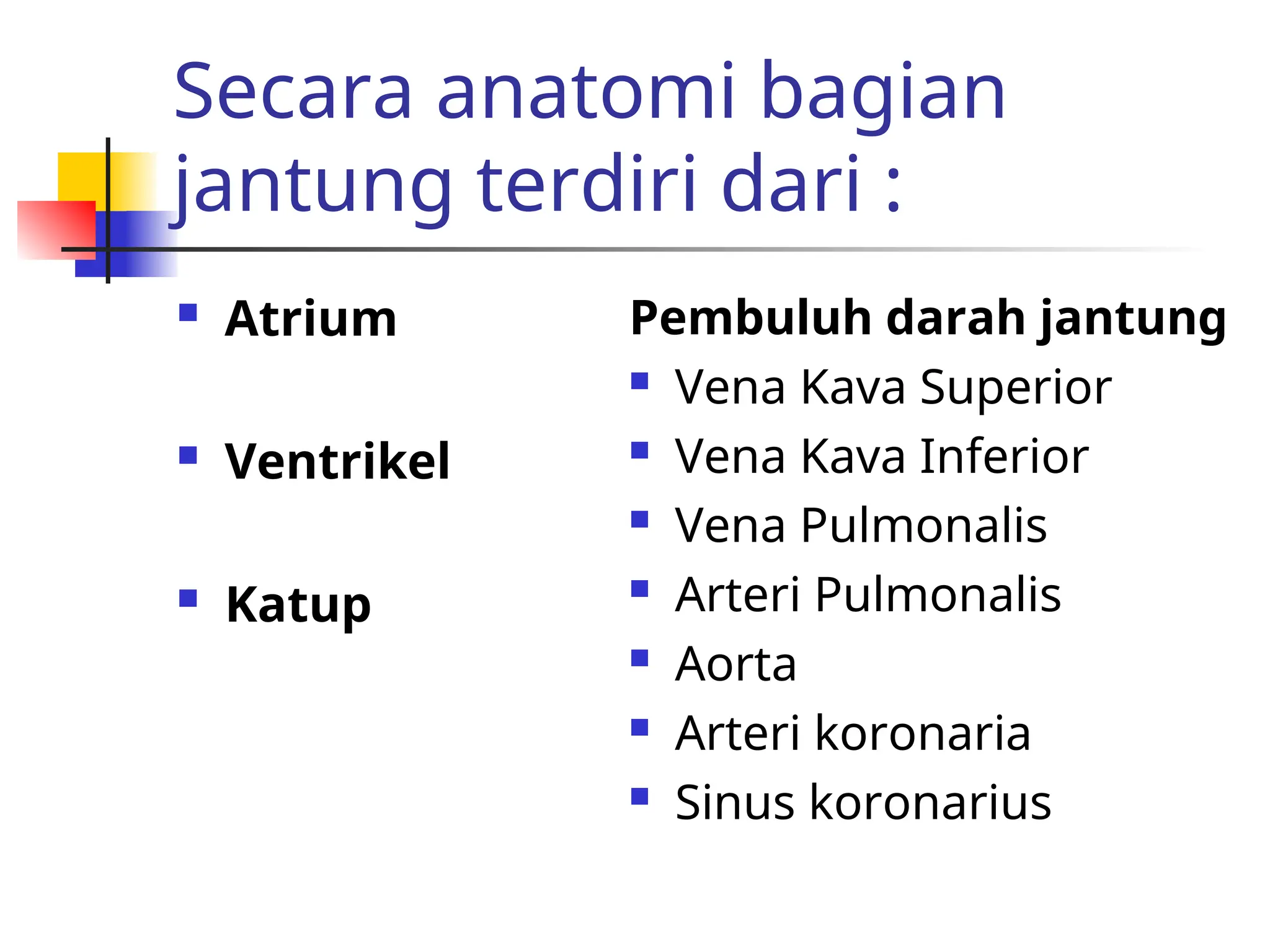 Anatomi dan Fisiologi Sistem Kardiovaskular.ppt