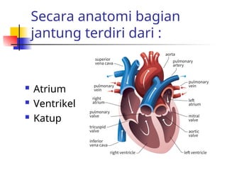 Anatomi dan Fisiologi Sistem Kardiovaskular.ppt