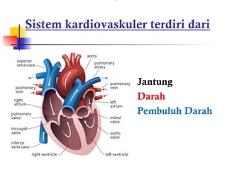 Anatomi dan Fisiologi Sistem Kardiovaskular.ppt