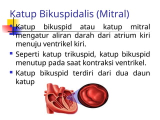 Anatomi dan Fisiologi Sistem Kardiovaskular.ppt