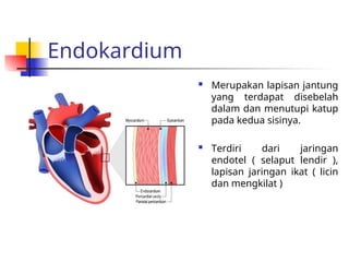 Anatomi dan Fisiologi Sistem Kardiovaskular.ppt