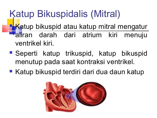 ANFIS Kardiovaskuler