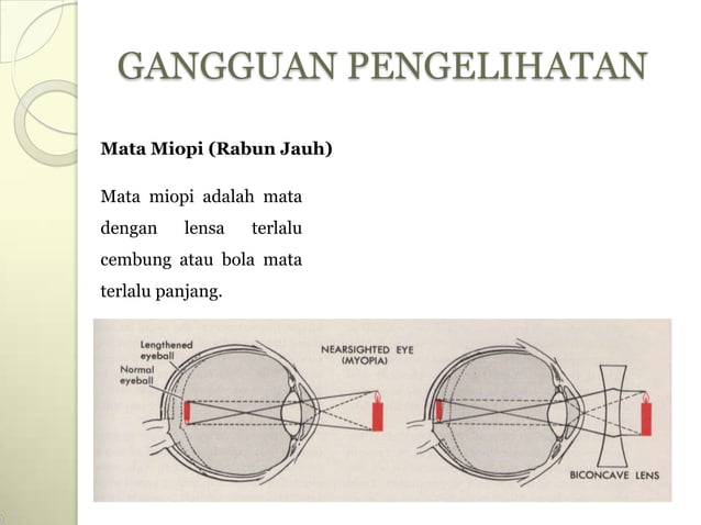 Sistem Penglihatan | PPTX