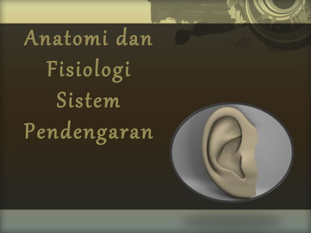 Sistem pendengaran | PPT