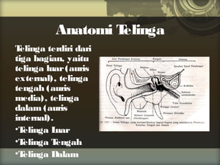 Sistem pendengaran | PPT