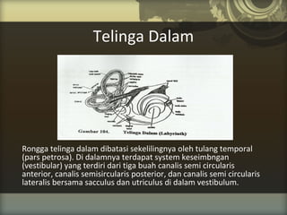 Sistem pendengaran | PPT
