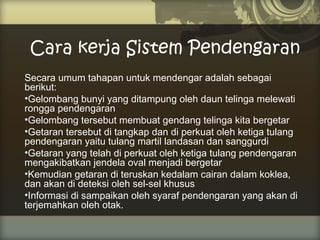 Sistem pendengaran | PPT