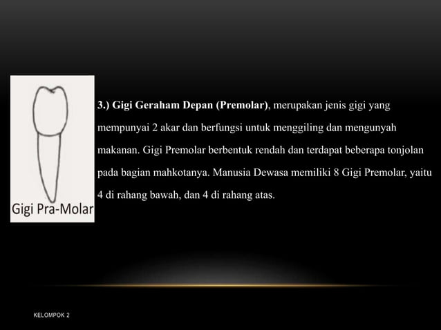 Fisiologi Gigi Pada Manusia | PPTX