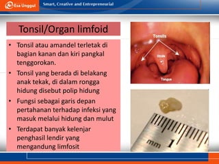 Anatomi dan Fisiologi sistem Limfatik.pdf