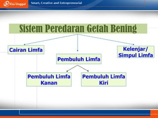 Anatomi dan Fisiologi sistem Limfatik.pdf