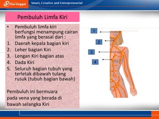 Anatomi dan Fisiologi sistem Limfatik.pdf