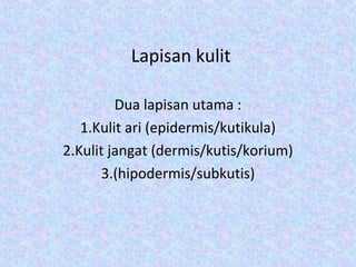 Anatomi dan Fisiologi Kulit Manusia | PPT