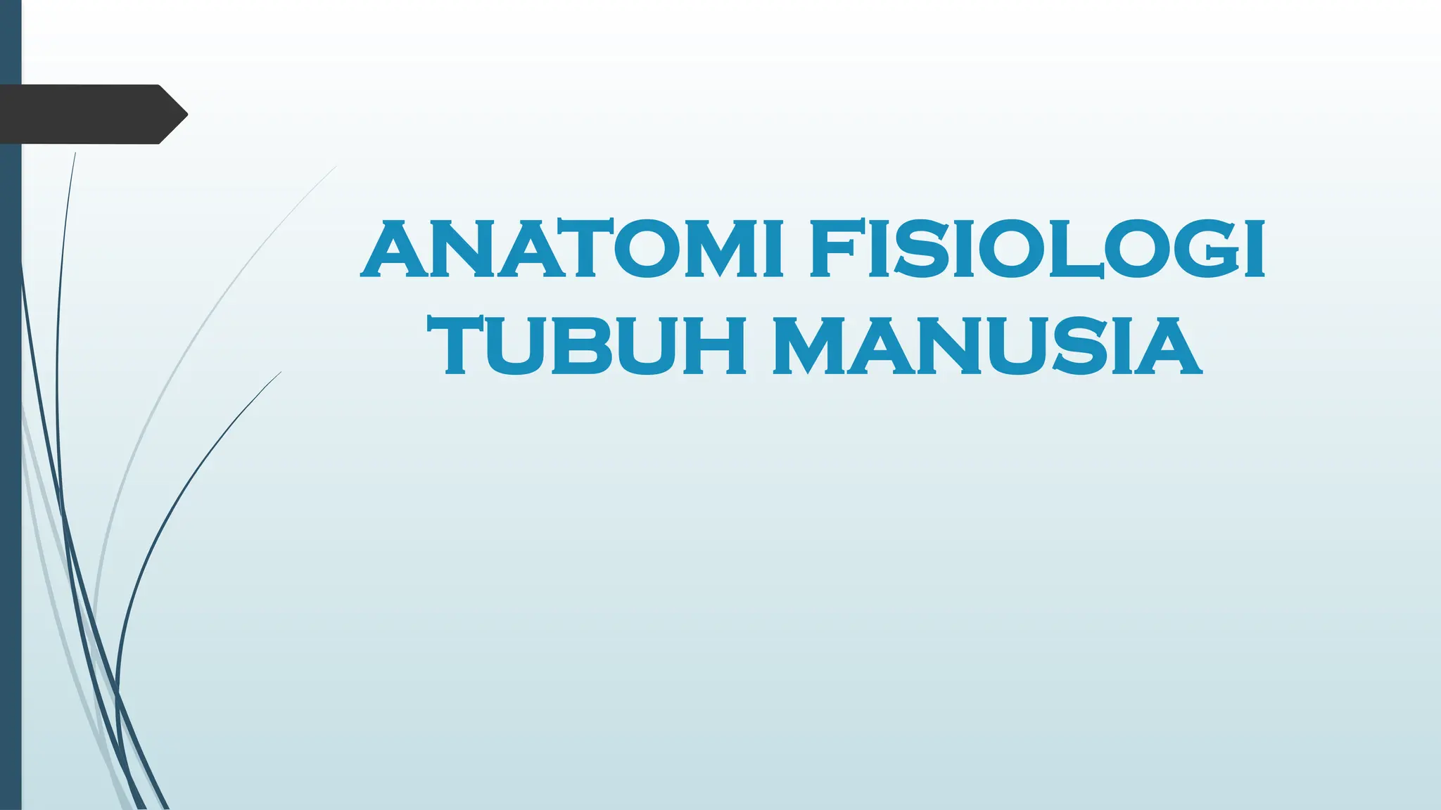 ANATOMI FISIOLOGI MANUSIA SECARA UMUM]'.pptx