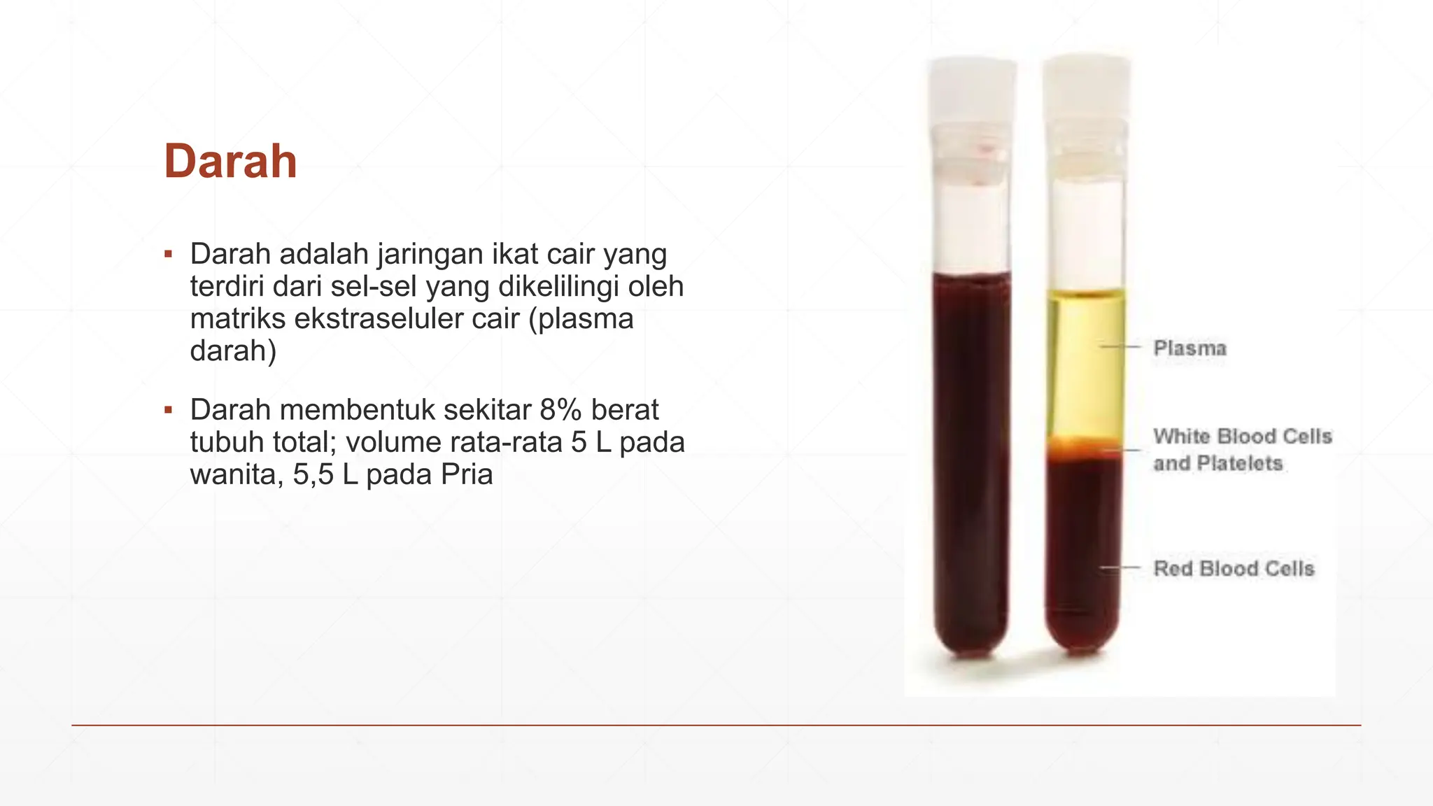 Kuliah Anfisman - Sistem Hematologi (Darah) | PPT