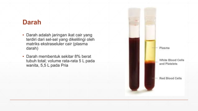 Kuliah Anfisman - Sistem Hematologi (Darah) | PPT