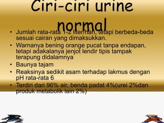 anatomi fisiologi sistem urinarius manusia | PPT
