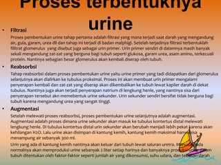 anatomi fisiologi sistem urinaria manusia | PPTX