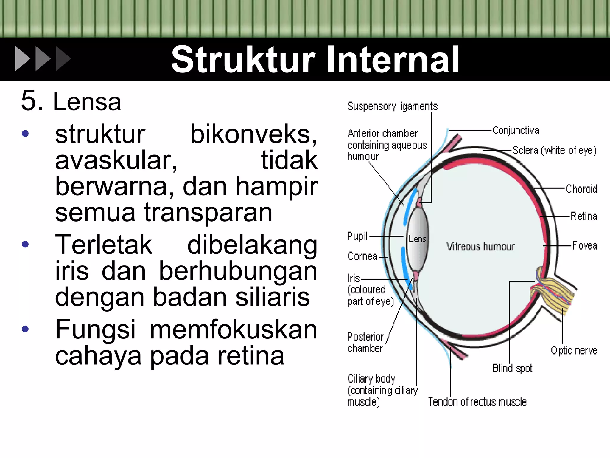 ANFIS_Mata_pptx.pptx