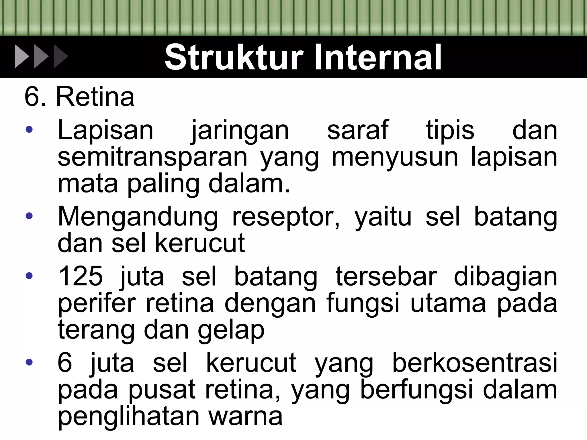 ANFIS_Mata_pptx.pptx