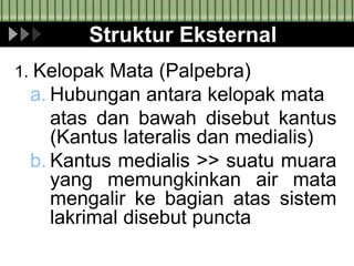 ANFIS_Mata_pptx.pptx