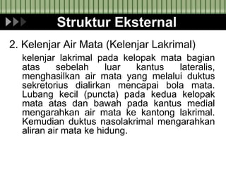 ANFIS_Mata_pptx.pptx