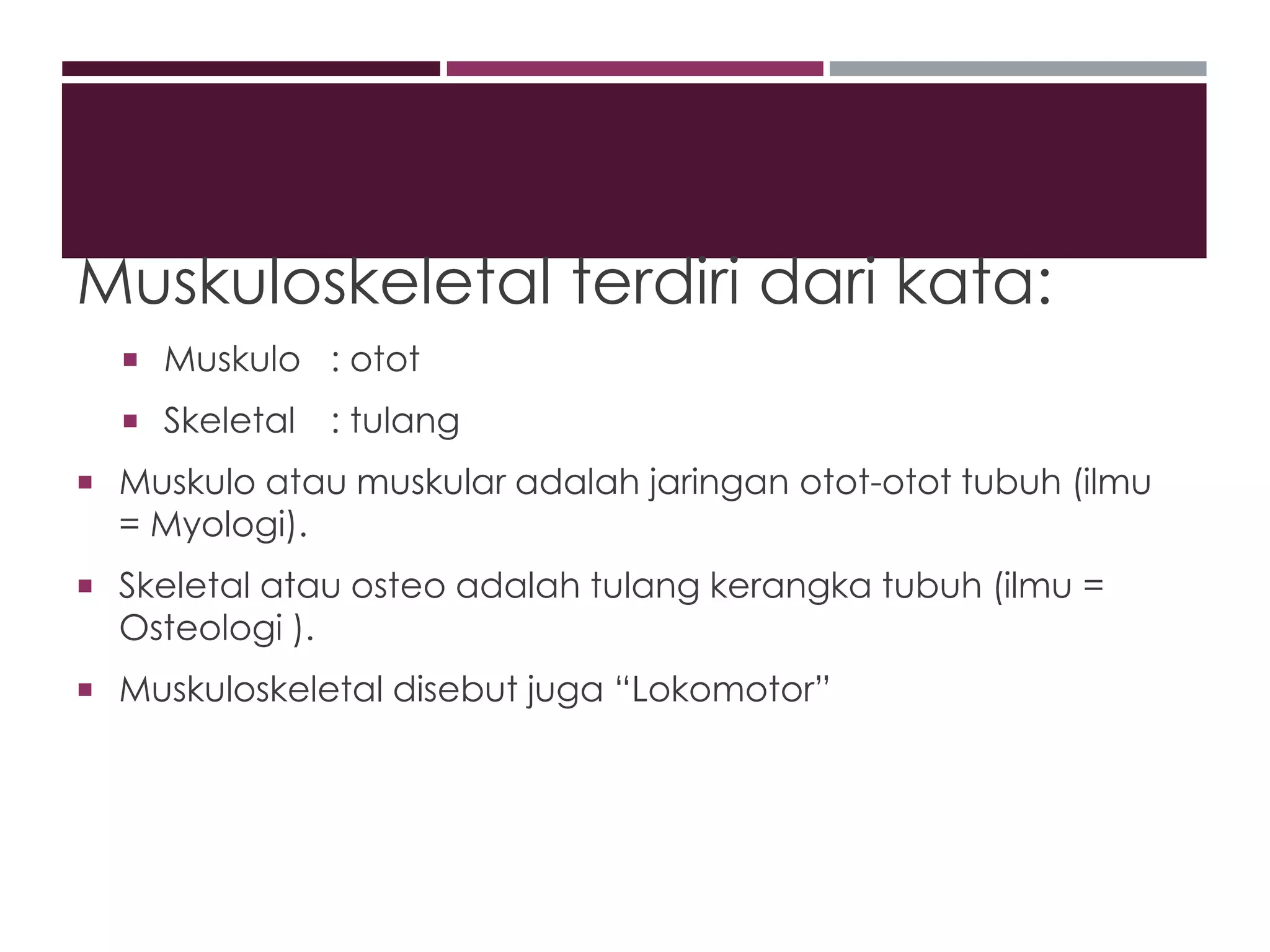 Anfis muskuloskeletal | PPTX