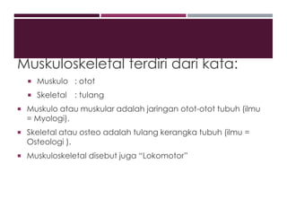 Anfis muskuloskeletal | PPTX