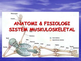 Anatomi Fisiologi Sistem Muskuloskeletal.ppt