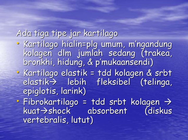 Anatomi Fisiologi Sistem Muskuloskeletal.ppt