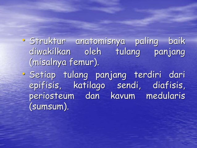 Anatomi Fisiologi Sistem Muskuloskeletal.ppt