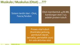 ANATOMI DAN FISIOLOGI MUSKULOSKELETAL PADA KEPERAWATAN | PDF