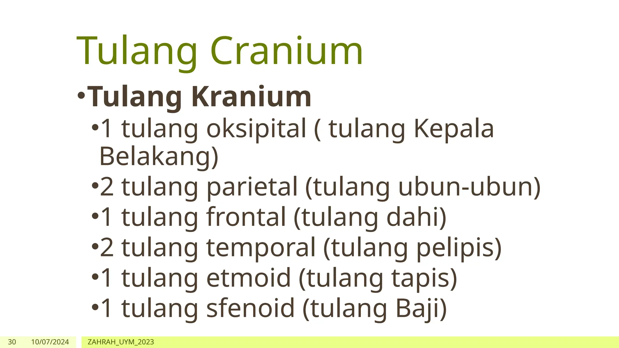 ANATOMI FISIOLOGI SISTEM MUSKULOSKELETAL | PPTX