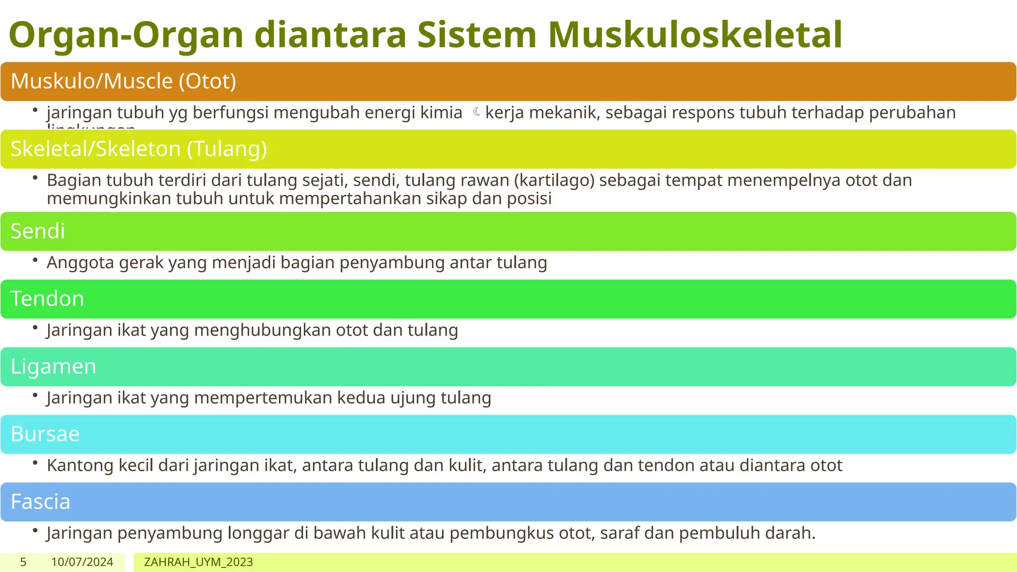 ANATOMI FISIOLOGI SISTEM MUSKULOSKELETAL | PPTX