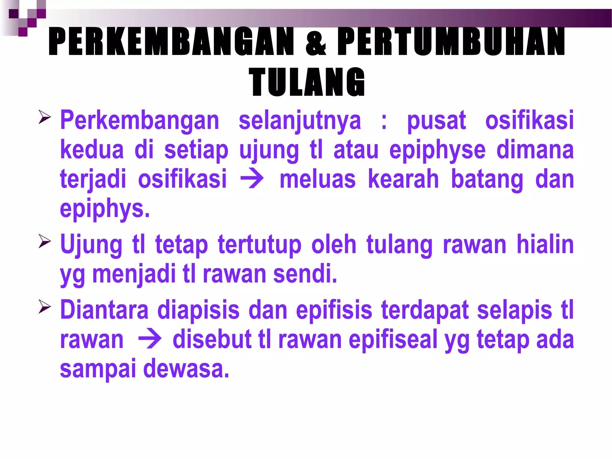 Anfis muskuloskeletas | PPT