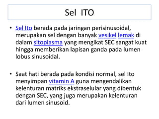 Anfis organ Hati.pptx