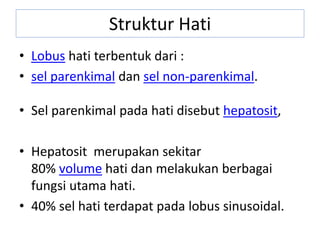 Anfis organ Hati.pptx