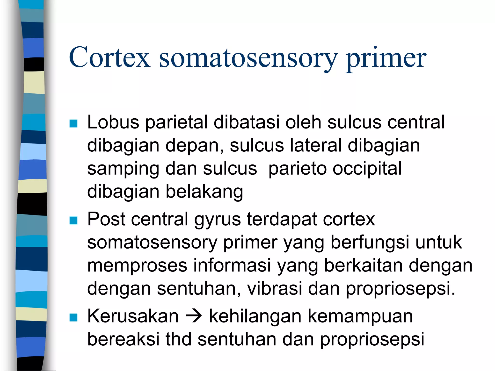 Anatomi Fisiologi Otak | PPTX