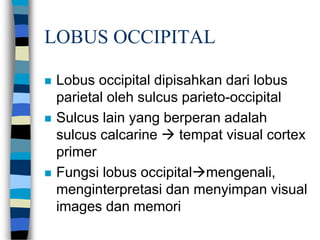 Anatomi Fisiologi Otak | PPTX